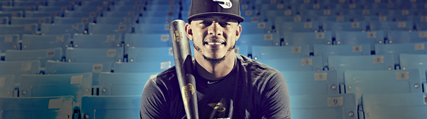 Base 2 Base Sports® | Baseball Equipment | Sports Training Nets